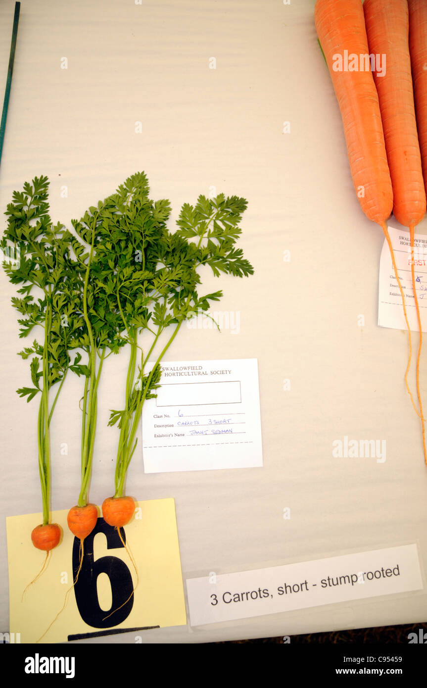 Vegetables on display for competition at country show, UK Stock Photo ...