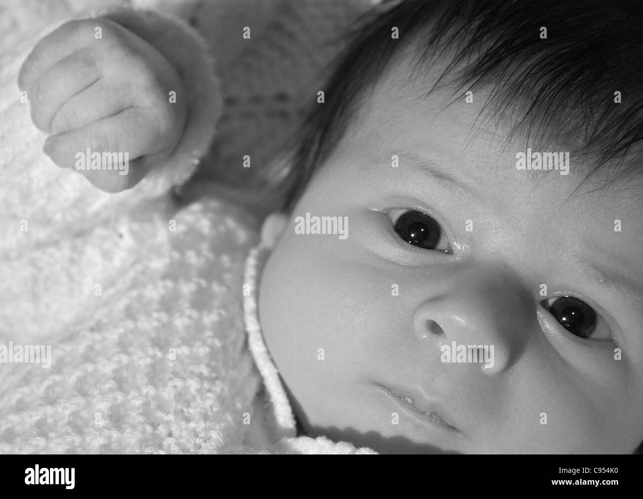 A wide awake, 5 week old baby Stock Photo - Alamy