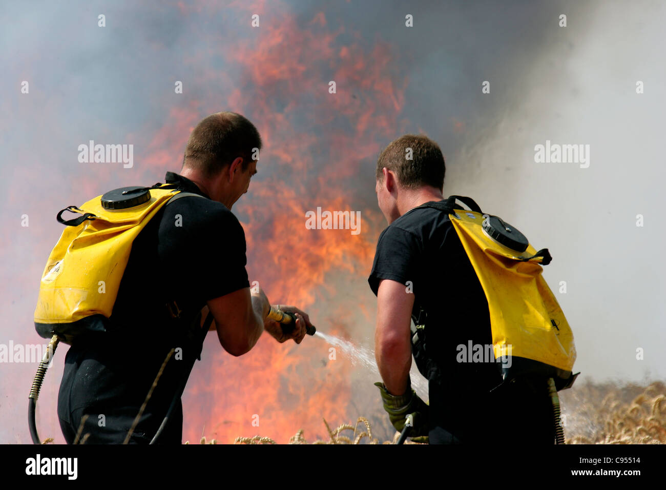 Firefighters use backpacks to tackle a large cornfield fire in Essex ...