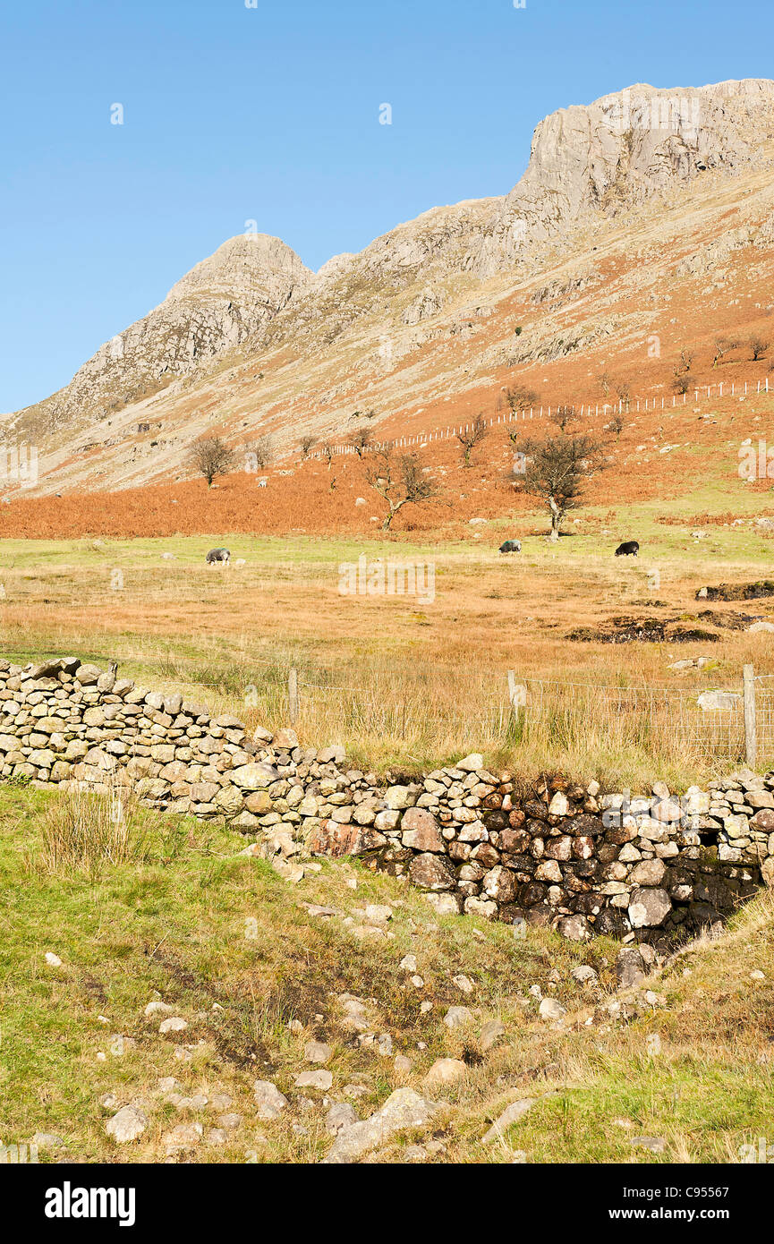 Side pike fell hi-res stock photography and images - Alamy