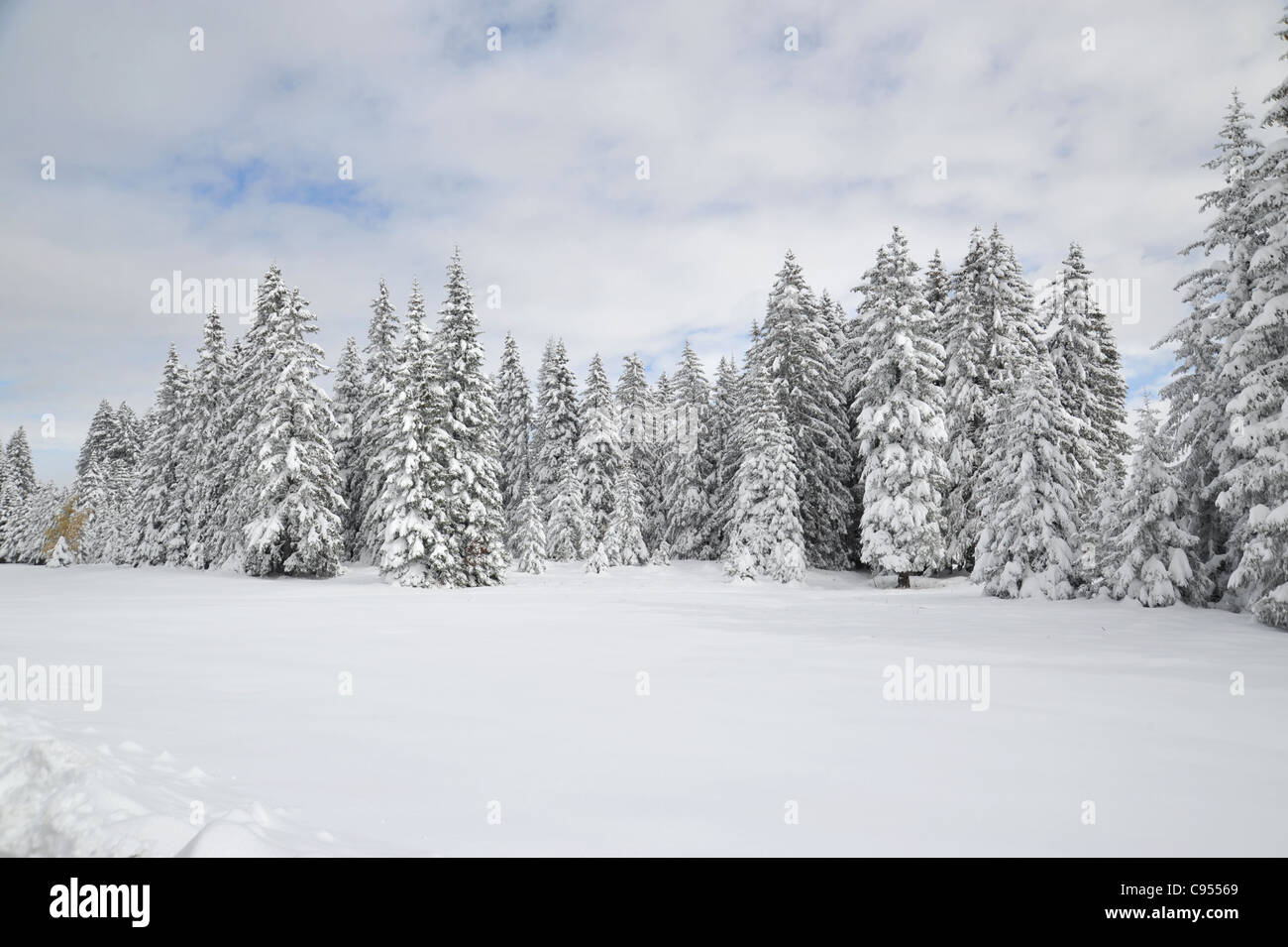 Chur switzerland winter hi-res stock photography and images - Alamy