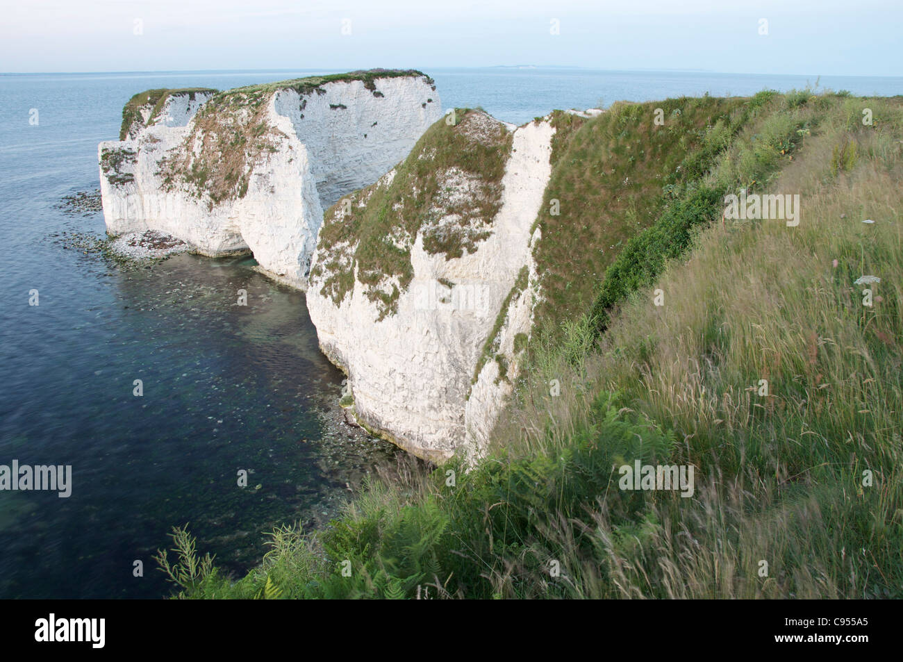 Old Harry Rocks. Massive chalk stacks standing just off the vertiginous ...