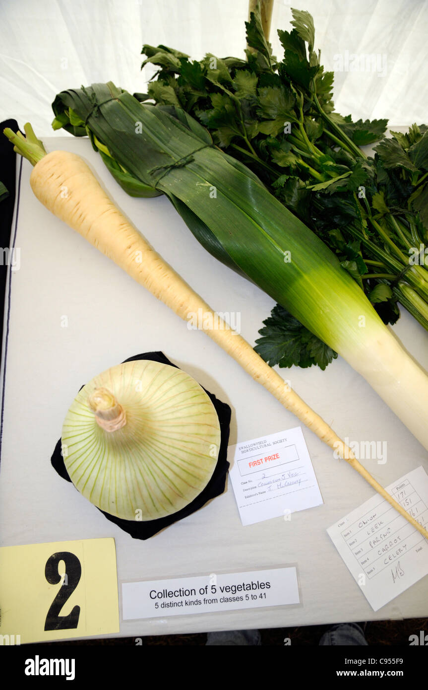 Vegetable competition uk hi-res stock photography and images - Alamy