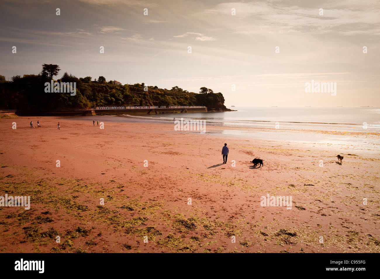 Goodrington sands paignton devon beach seaside sea england hi-res stock ...