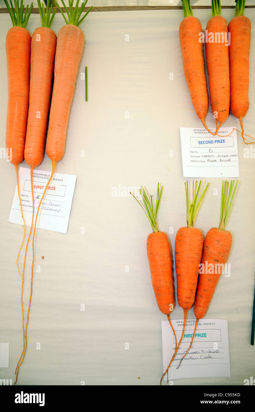 Vegetables on display for competition at country show, UK Stock Photo ...