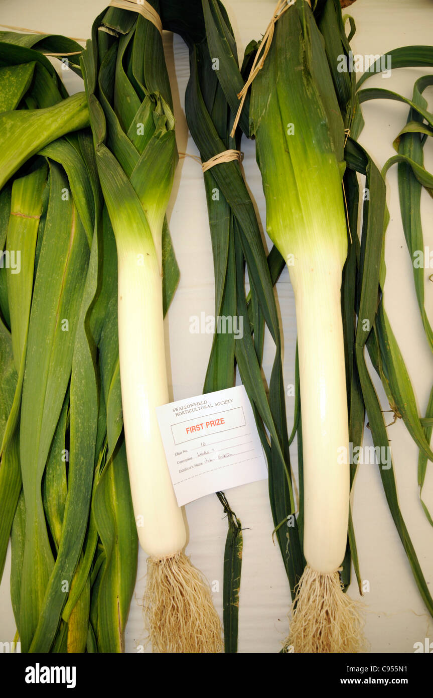 Vegetables on display for competition at country show, UK Stock Photo ...