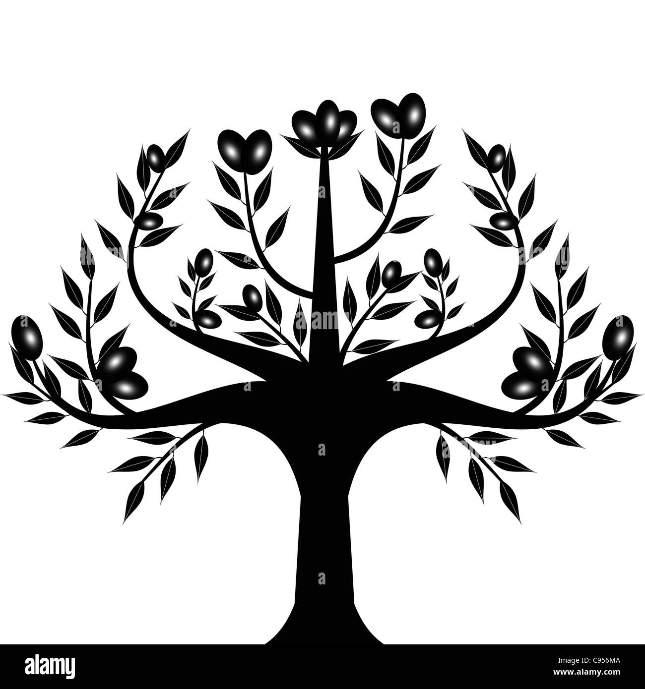 Abstract olive tree isolated on white background Stock Photo - Alamy