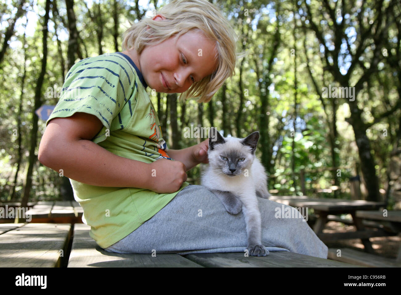 Boy with cat Stock Photo - Alamy