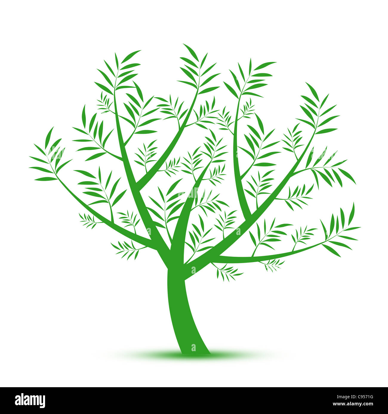 Beautiful art tree isolated on white background Stock Photo - Alamy