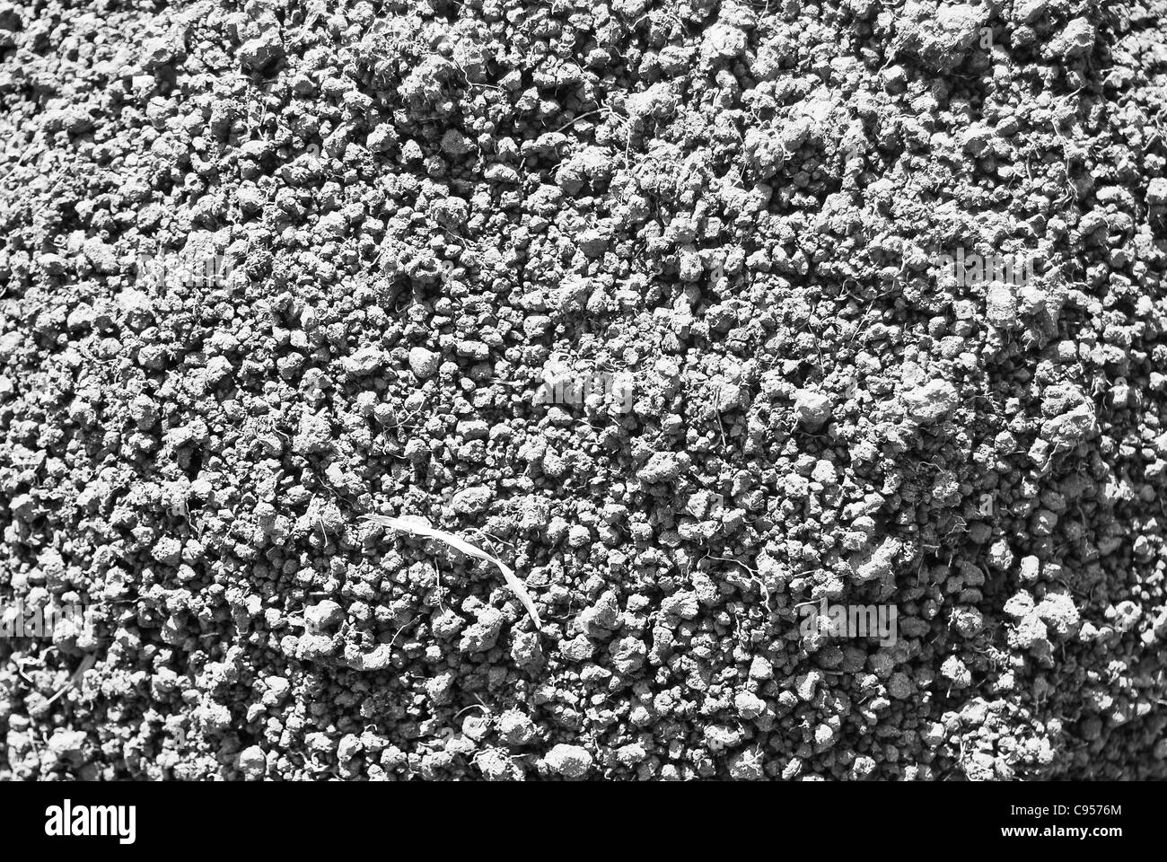 Humus soil Black and White Stock Photos & Images - Alamy