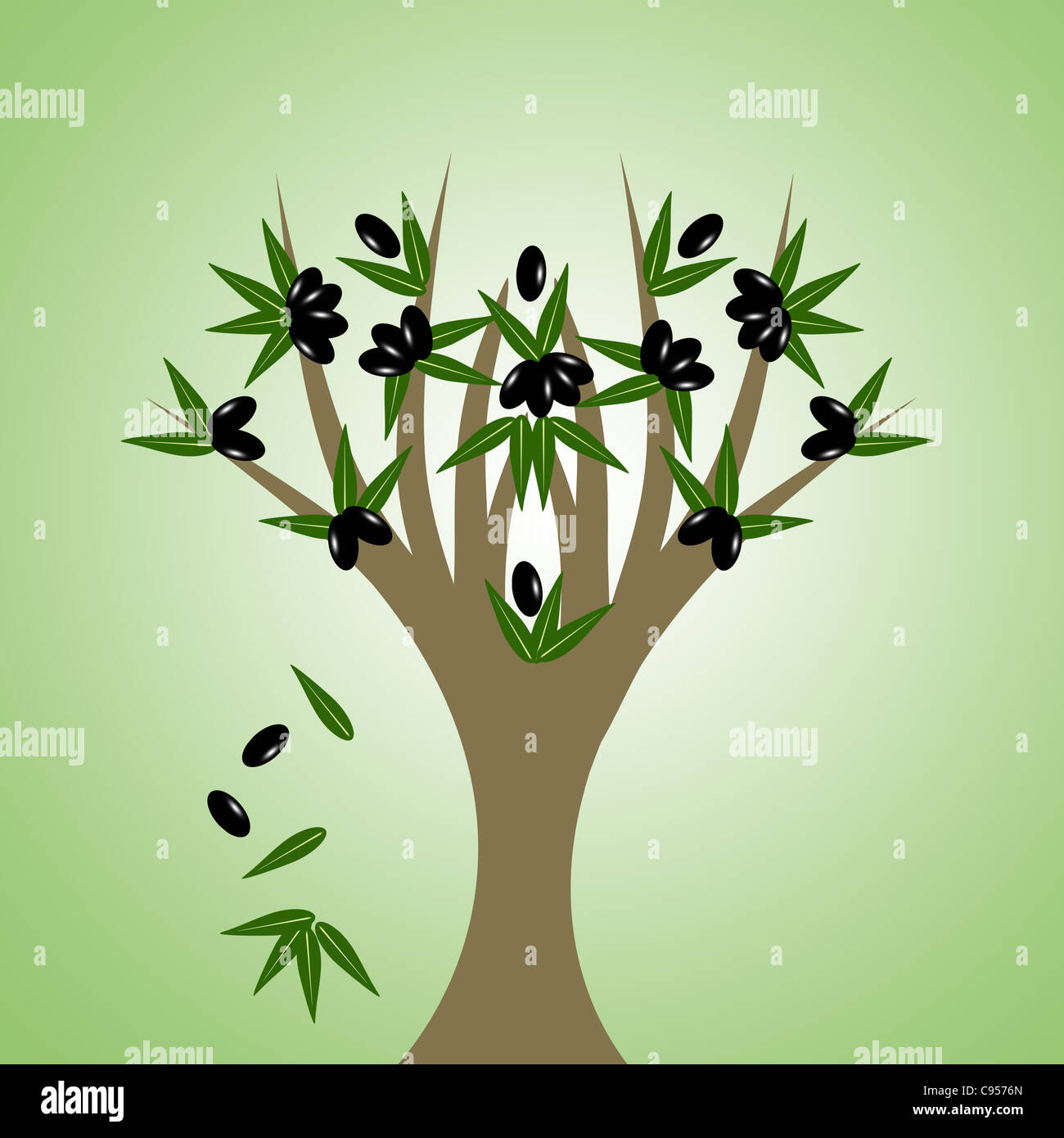 Abstract olive tree isolated on green background Stock Photo - Alamy