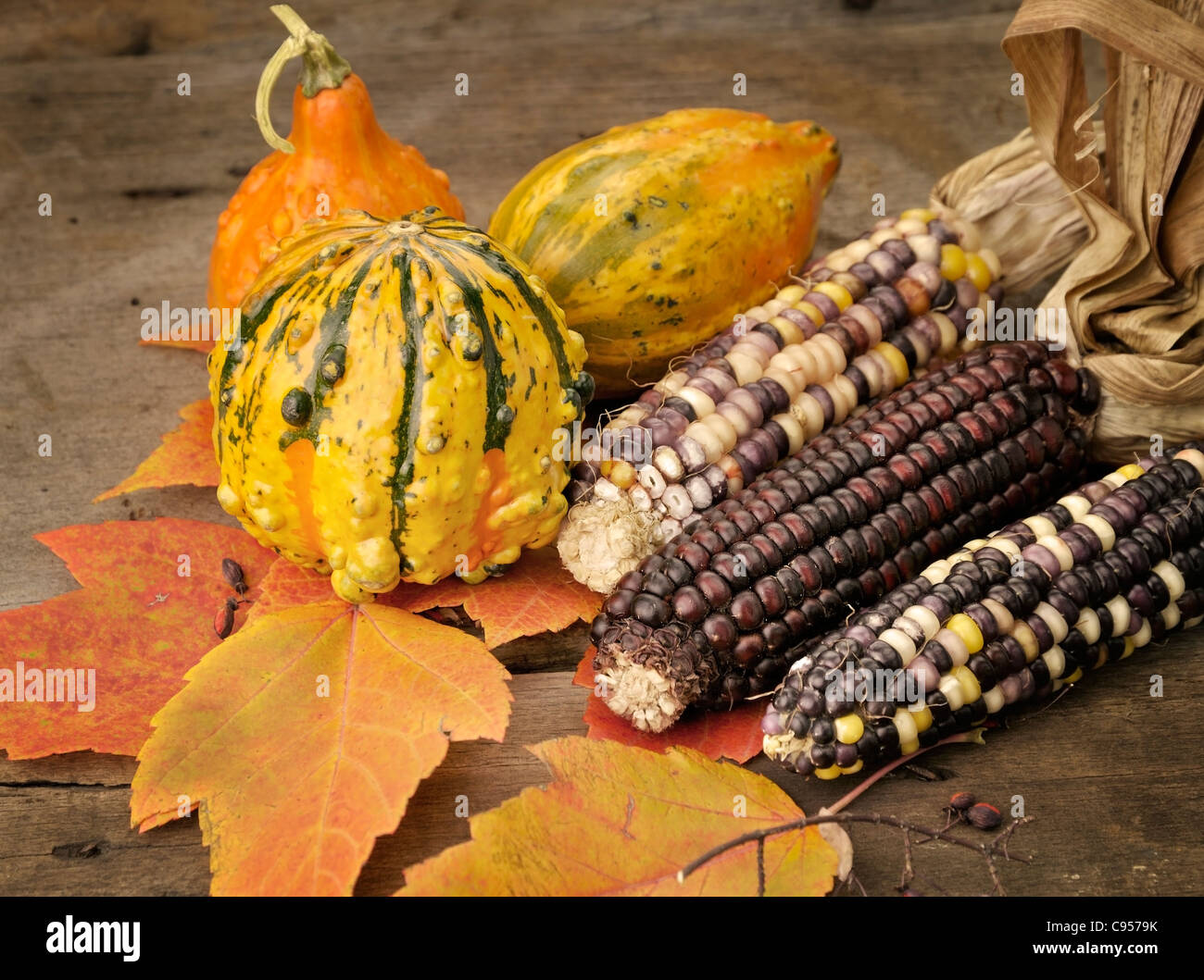 Indian corn farming hi-res stock photography and images - Alamy