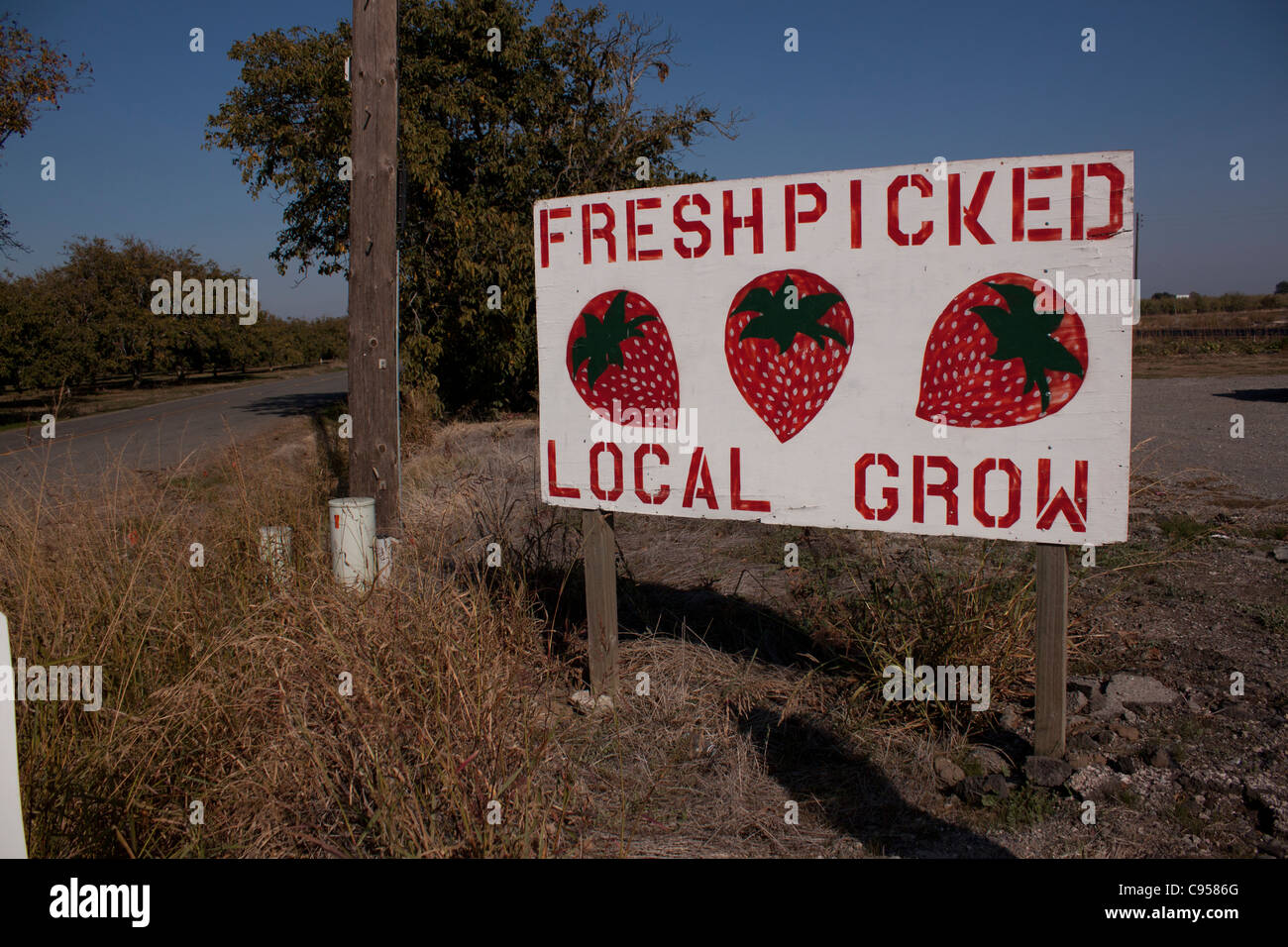 Strawberry kiosk hi-res stock photography and images - Alamy
