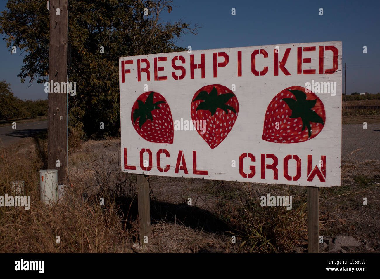 Fresh picked local grown strawberry sign Stock Photo - Alamy