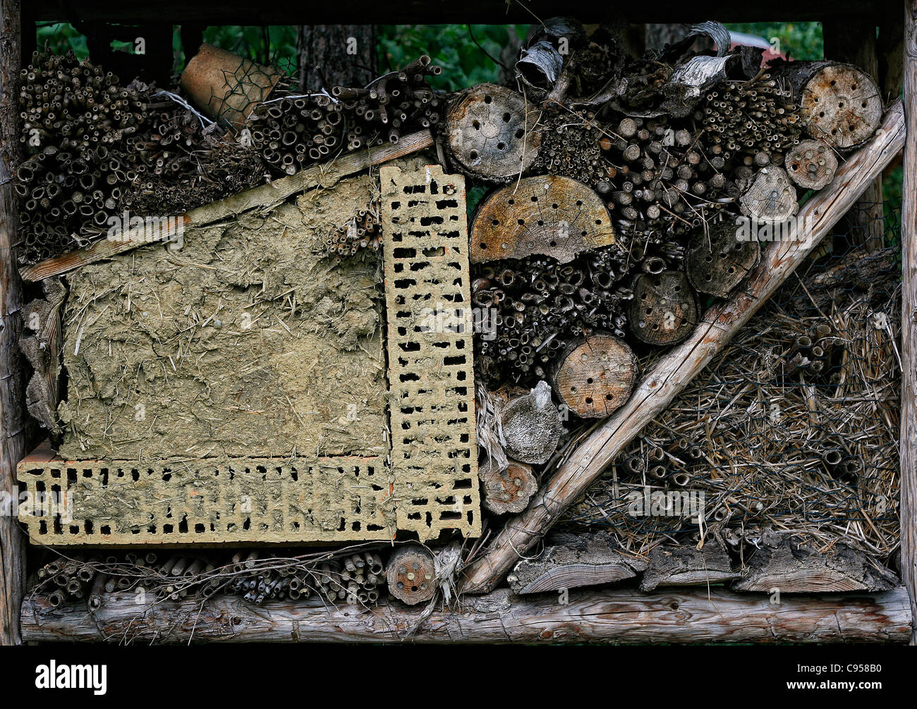 Insect hotel hi-res stock photography and images - Alamy