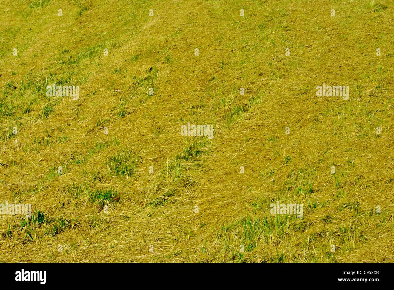 Background red blue green colors hi-res stock photography and images ...