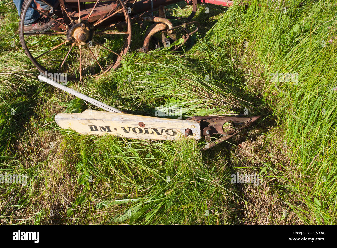 Horse-drawn hay mower at hay making Stock Photo - Alamy