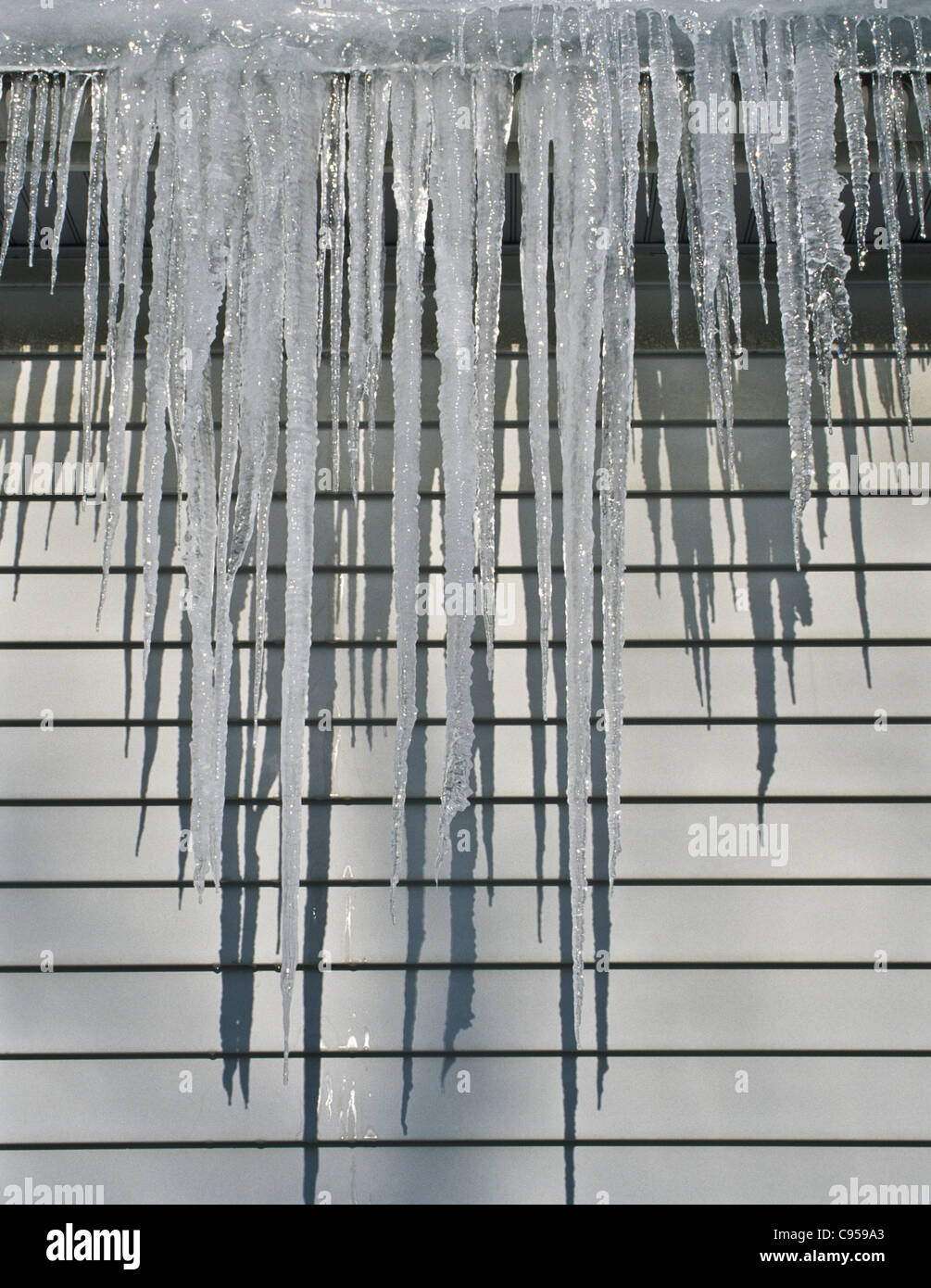 20mb hi-res stock photography and images - Alamy