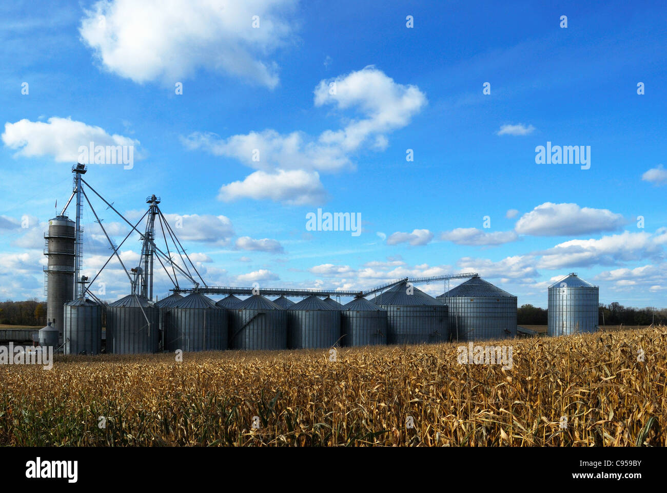 Corn sales hi-res stock photography and images - Alamy