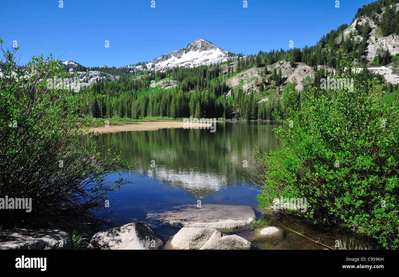 Silver mountain resort hi-res stock photography and images - Alamy