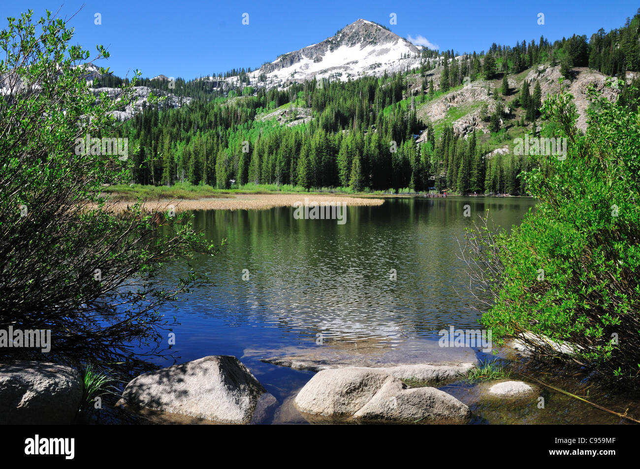 Mountain peak reflected in Silver Lake, Utah Stock Photo - Alamy