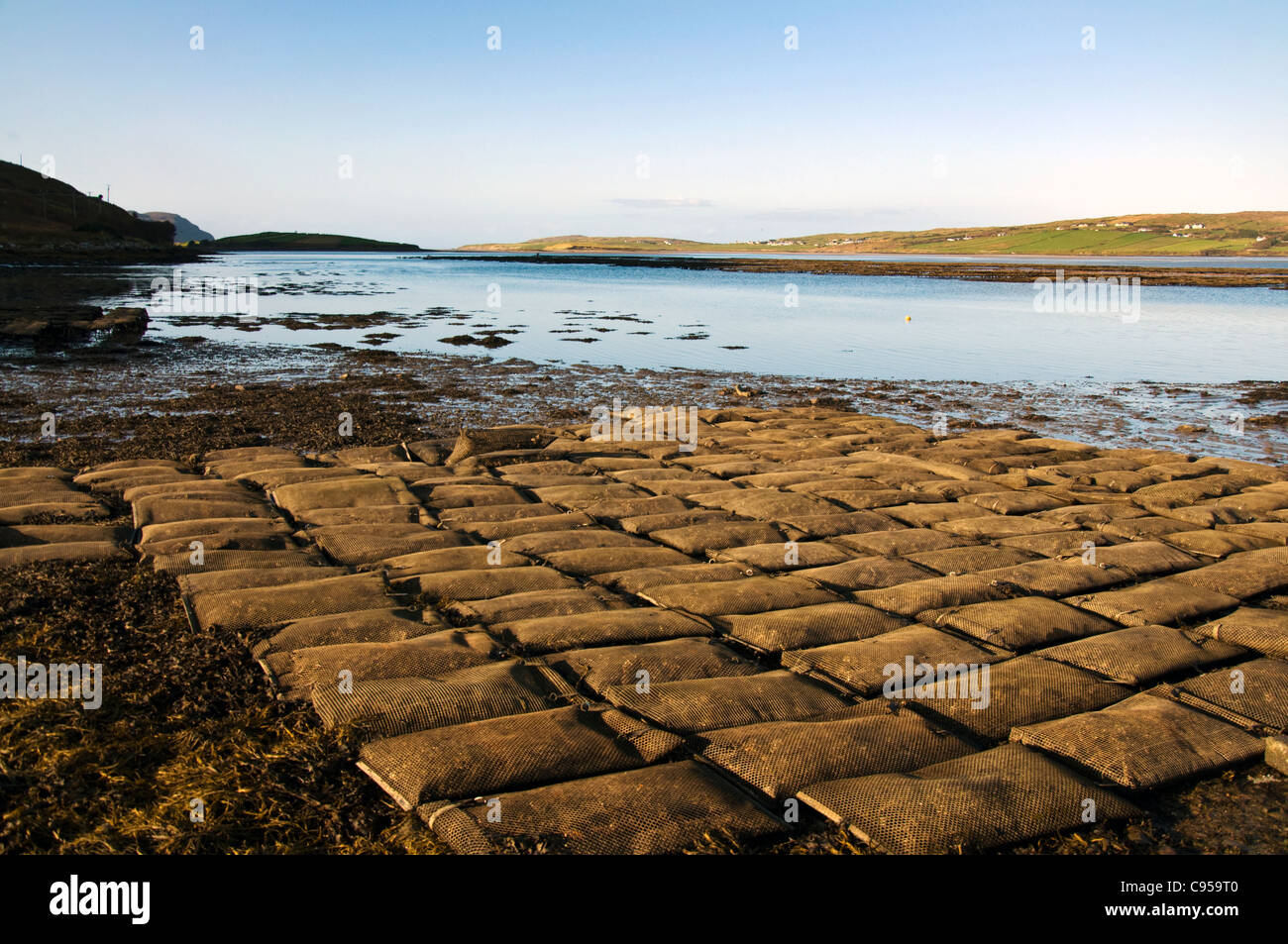 Rural shellfish hi-res stock photography and images - Alamy
