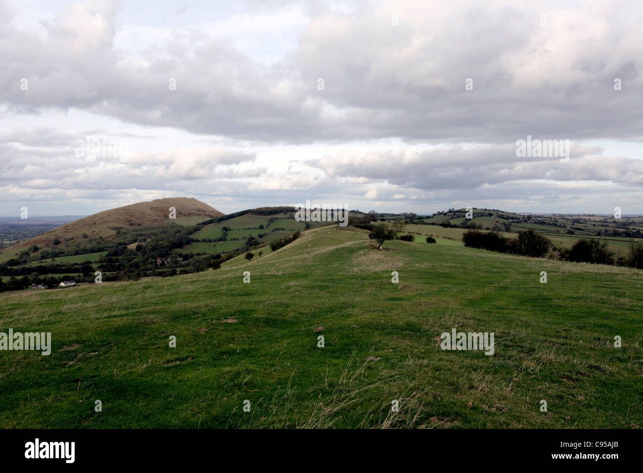 rasslands of the Shropshire Hills upon Folly Bank,The Lawley is the ...