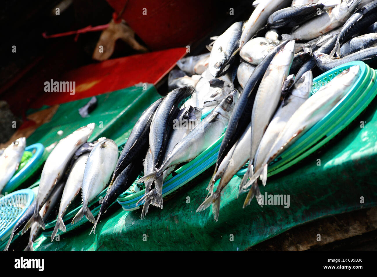 Jagalchi Fish Market, Busan, South Korea Stock Photo - Alamy
