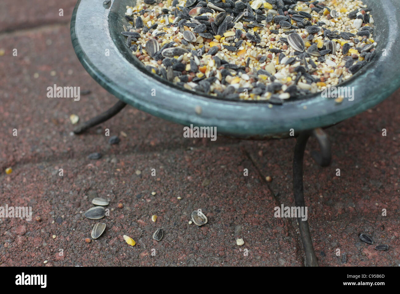 A bowl of bird seed on a patio Stock Photo - Alamy