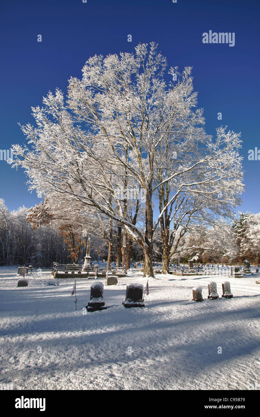 A late October snow storm covered trees and gravestones in this ...
