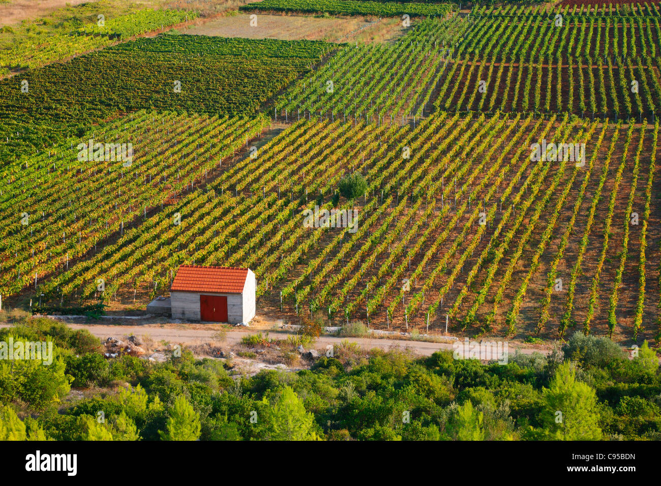 Vineyard house history hi-res stock photography and images - Alamy