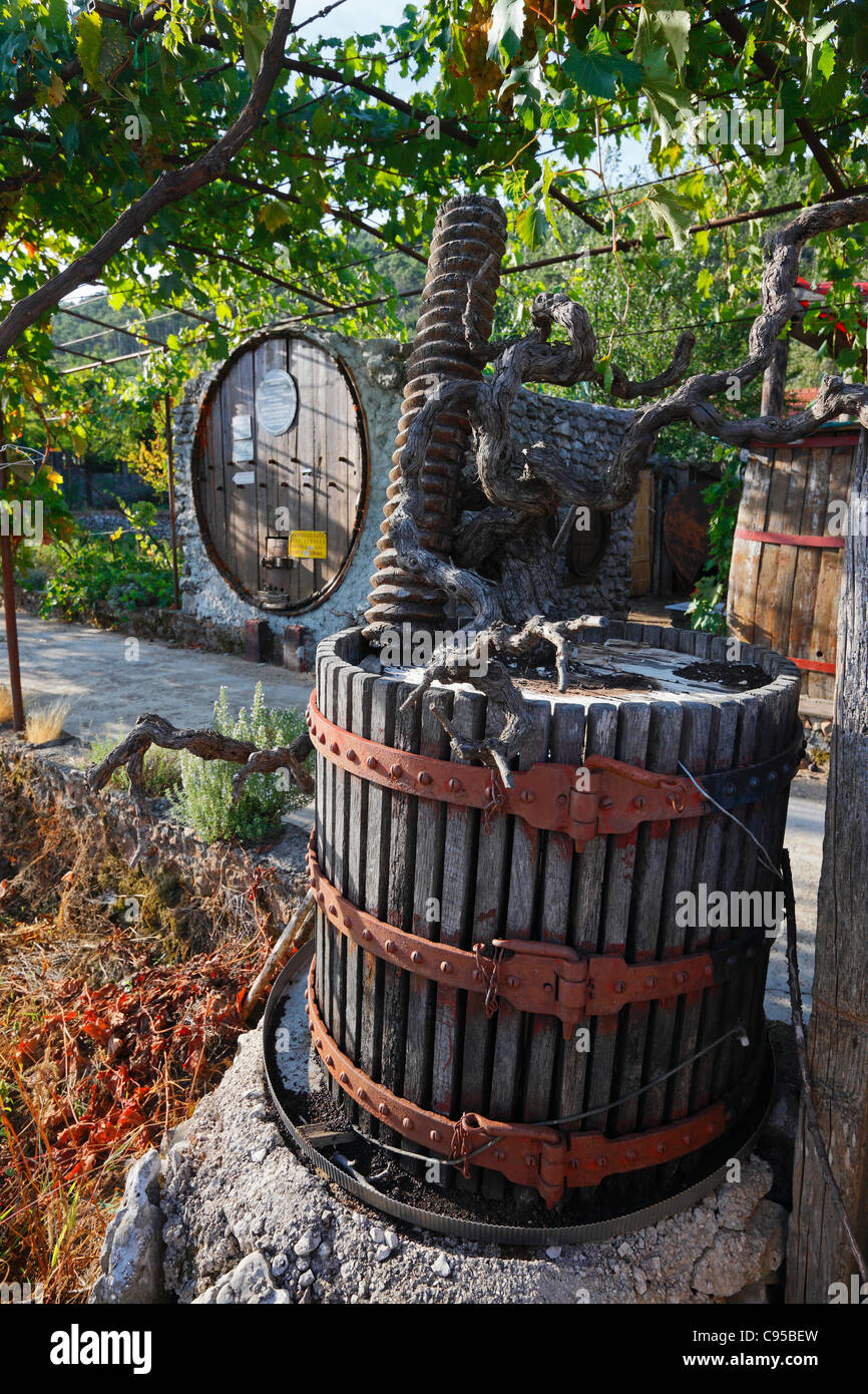 Old vine barrel in old winery Stock Photo - Alamy