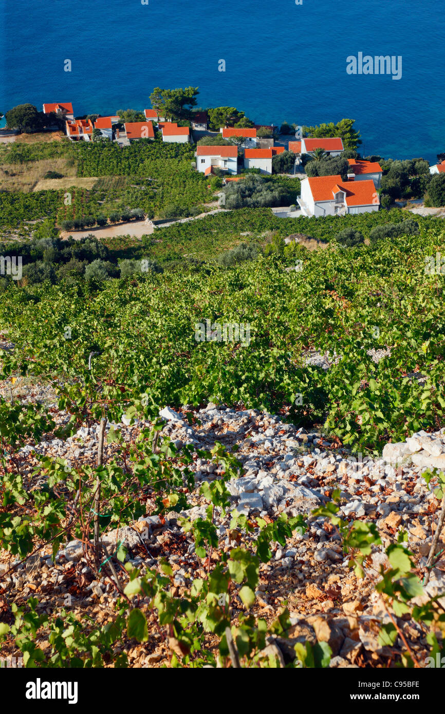 Peljesac Wine High Resolution Stock Photography and Images - Alamy