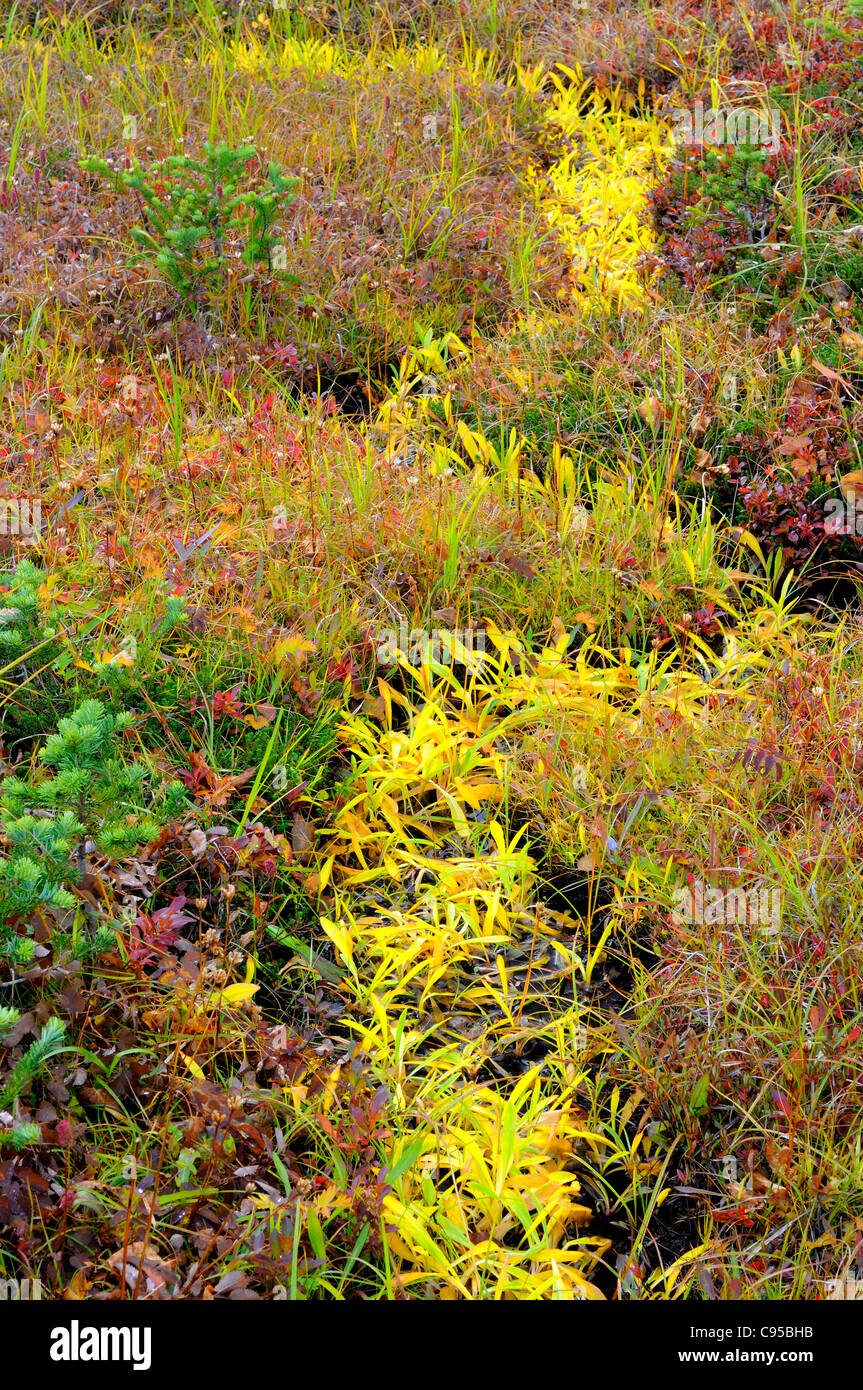 Fall autumn colours hi-res stock photography and images - Alamy