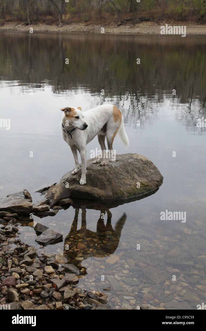 White spots on rock hi-res stock photography and images - Alamy
