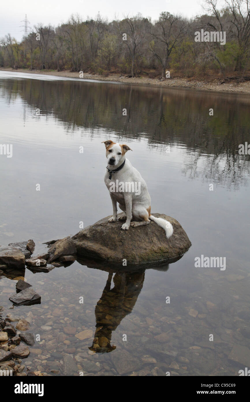 White spots on rock hi-res stock photography and images - Alamy