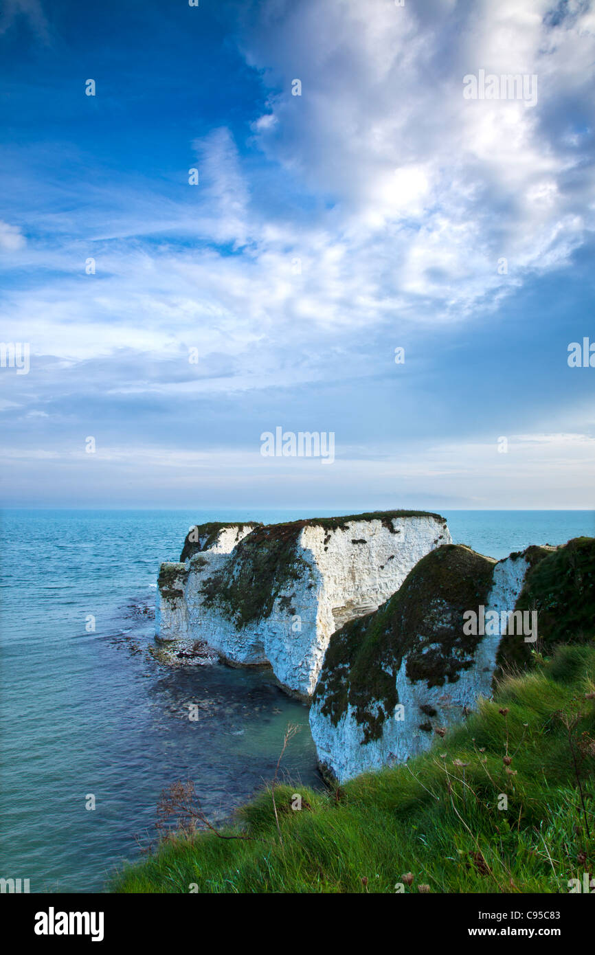Old Harry Rocks Stock Photo - Alamy