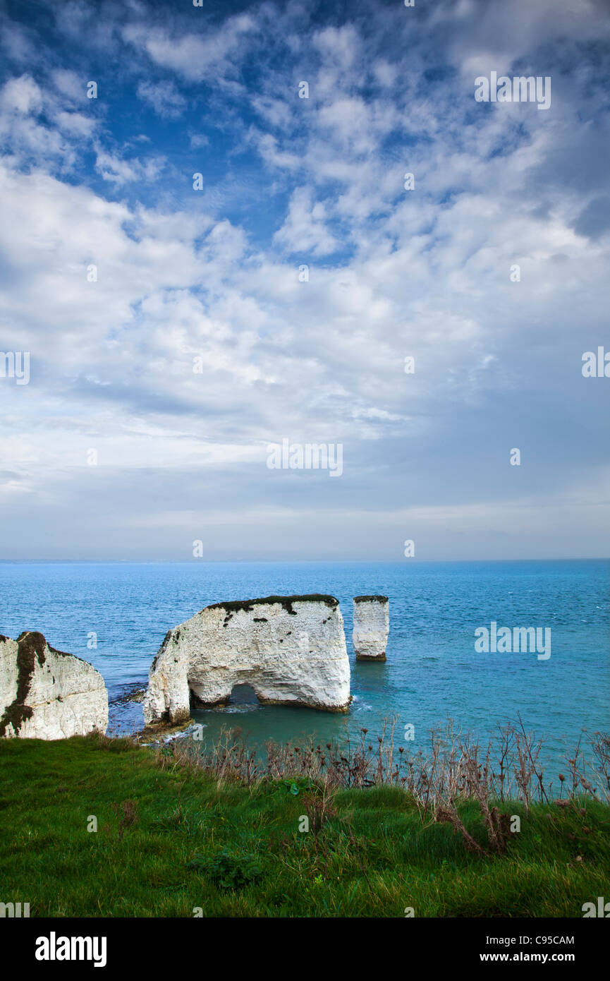 Old Harry Rocks Stock Photo - Alamy