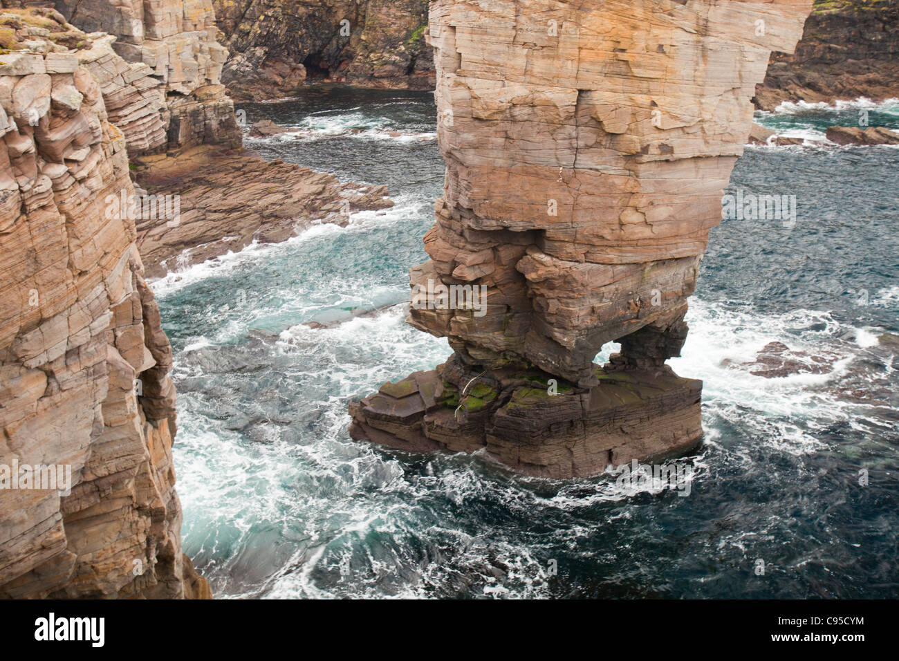 Yesnaby Castle, a sea stack at Yesnaby on Orkney Mainland west coast ...
