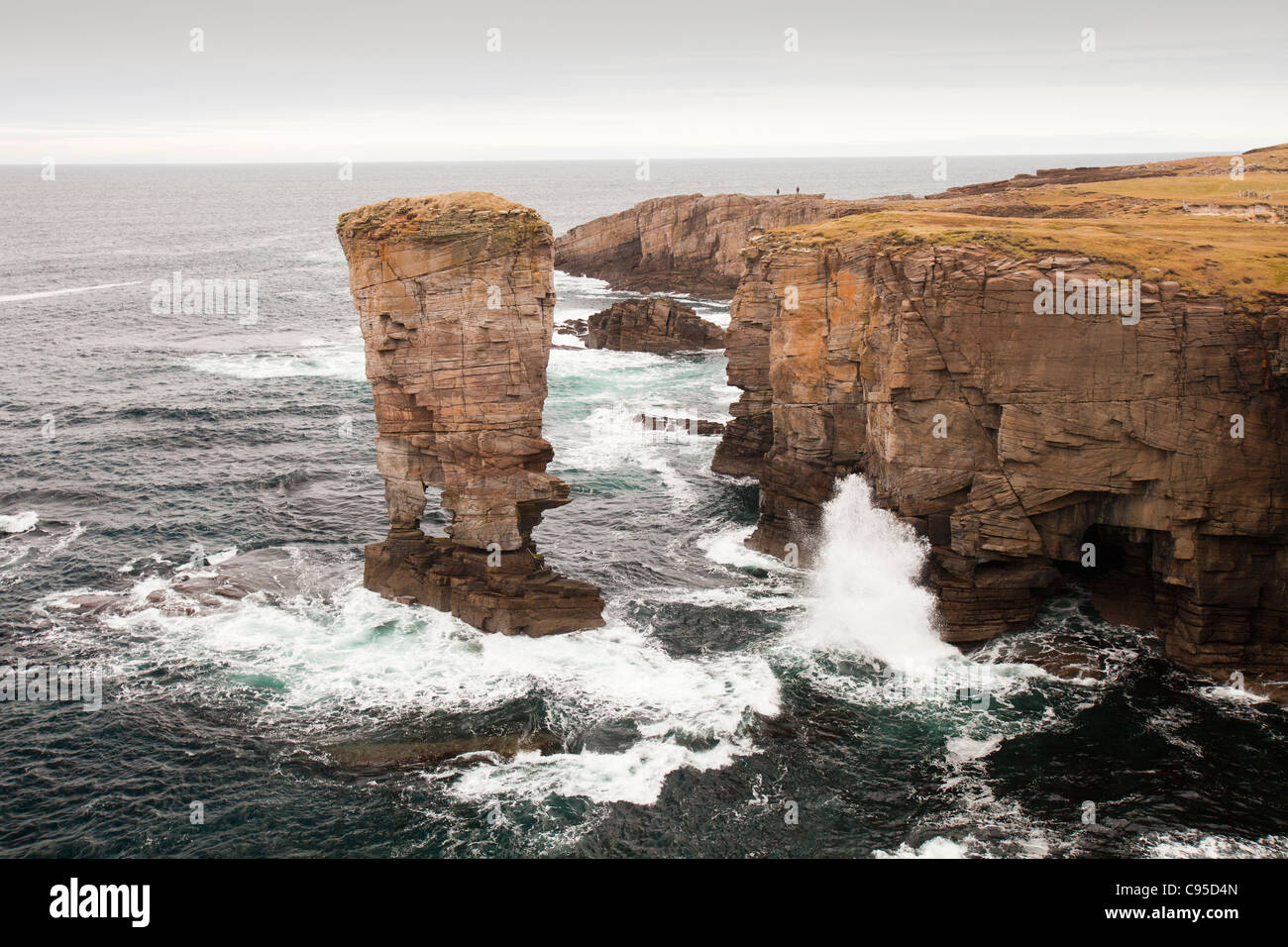 Yesnaby Castle, a sea stack at Yesnaby on Orkney Mainland west coast ...