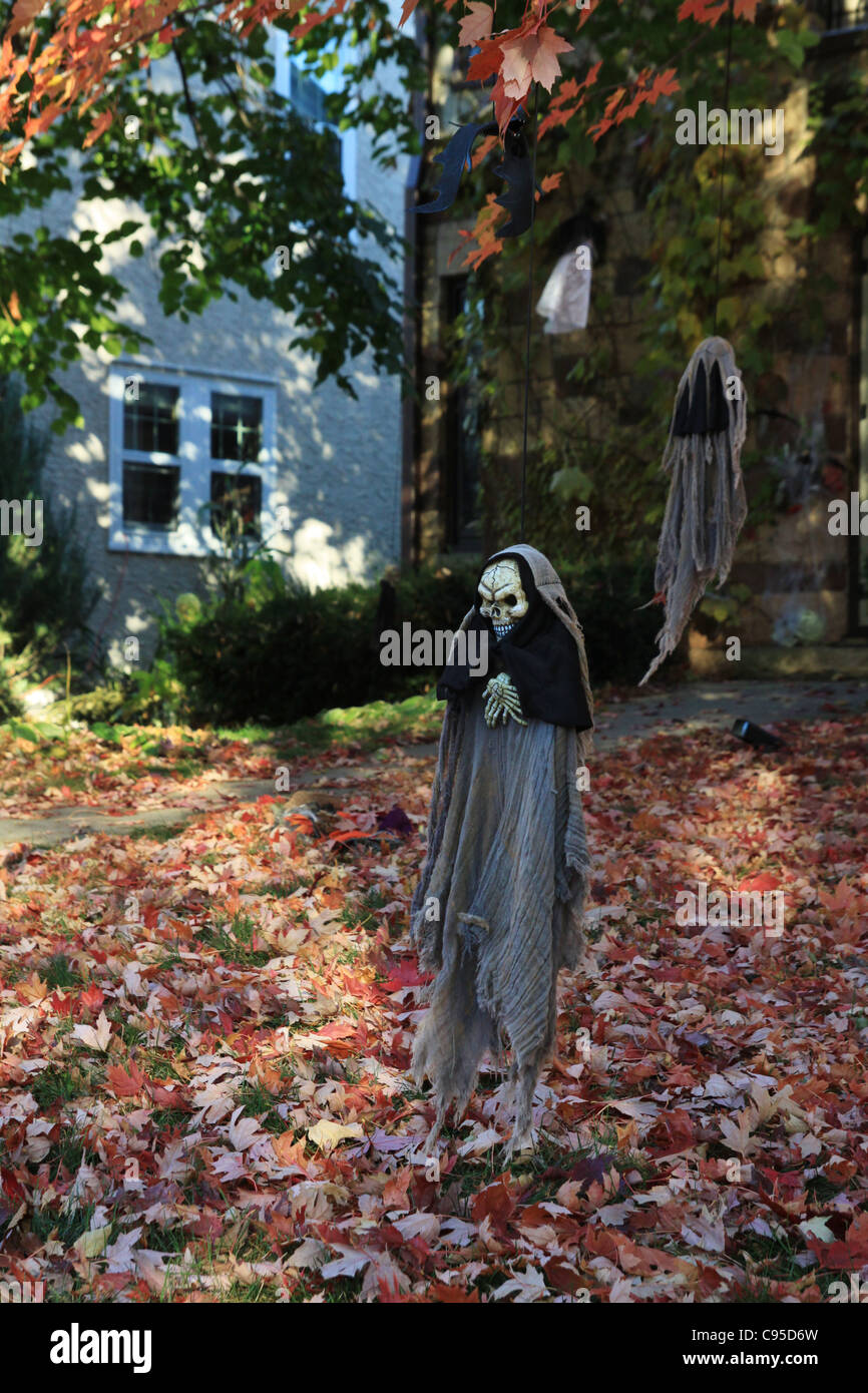 Witch tree minnesota hi-res stock photography and images - Alamy