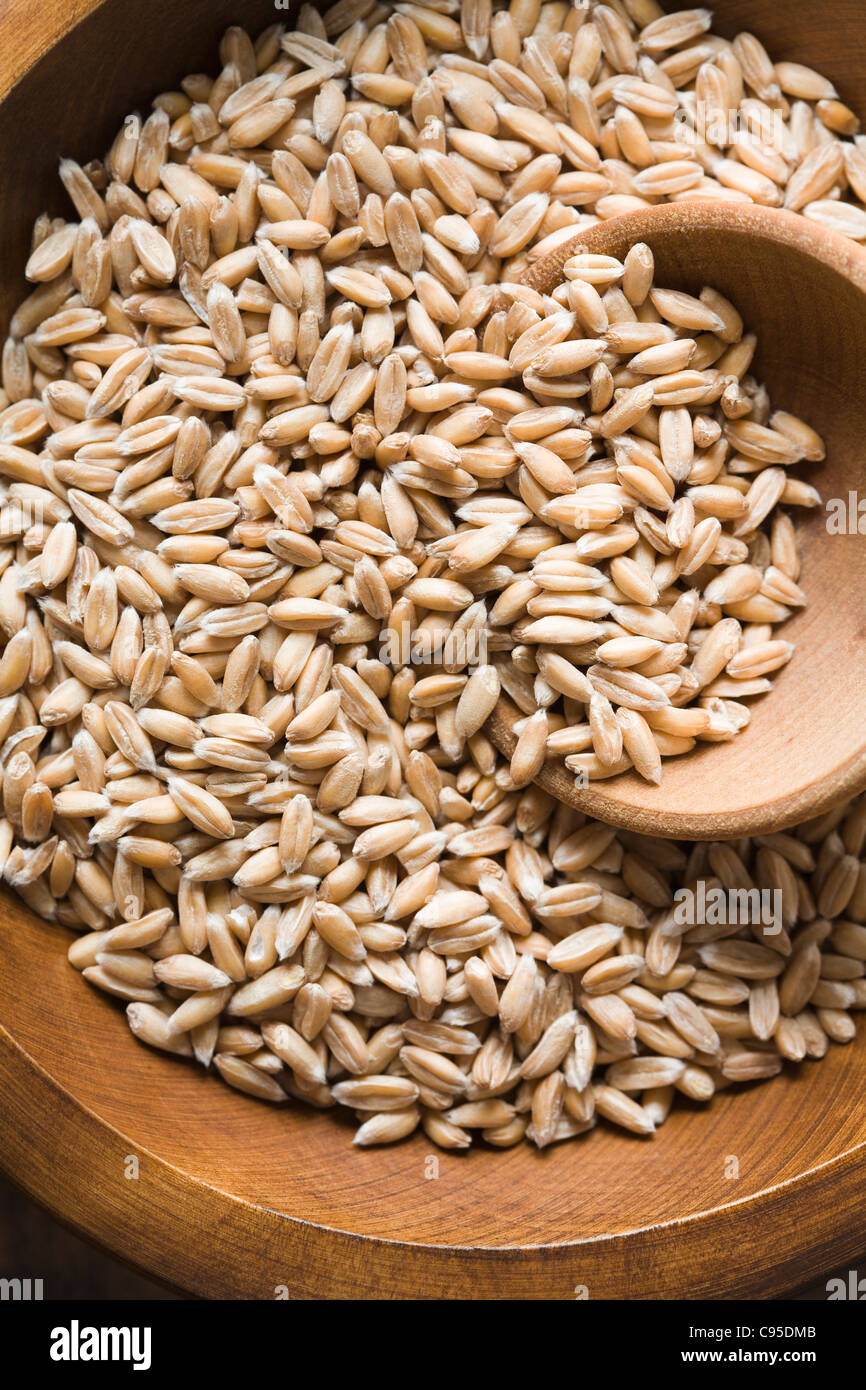 Spelt whole grain hi-res stock photography and images - Alamy