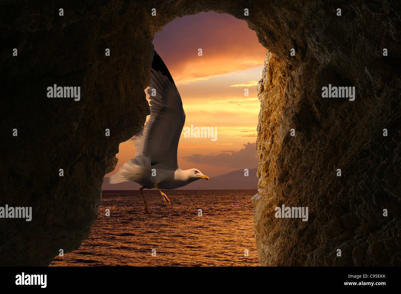 Sunset and seagull through the cave Stock Photo - Alamy