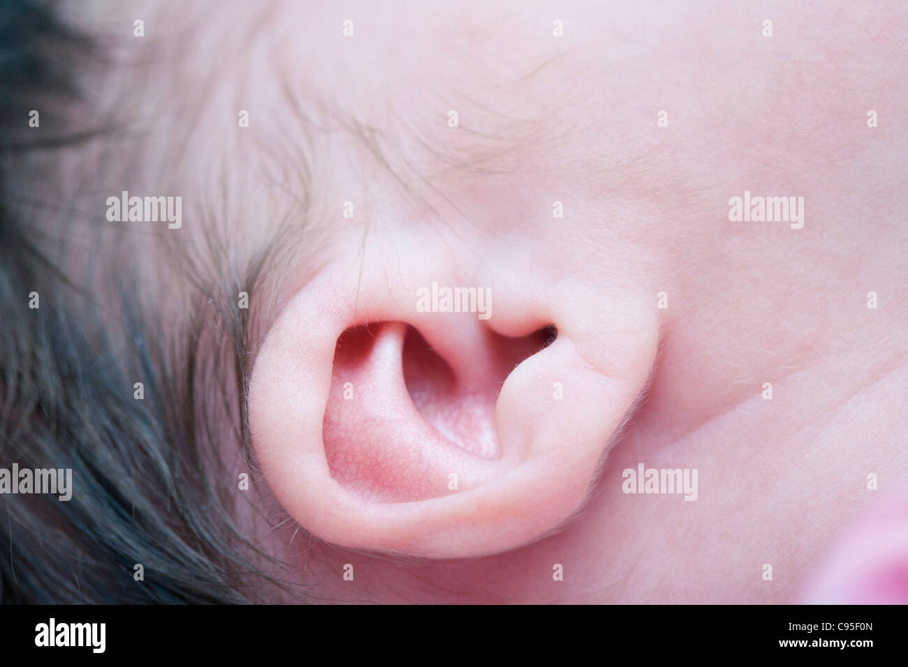 close-up baby's ear Stock Photo - Alamy