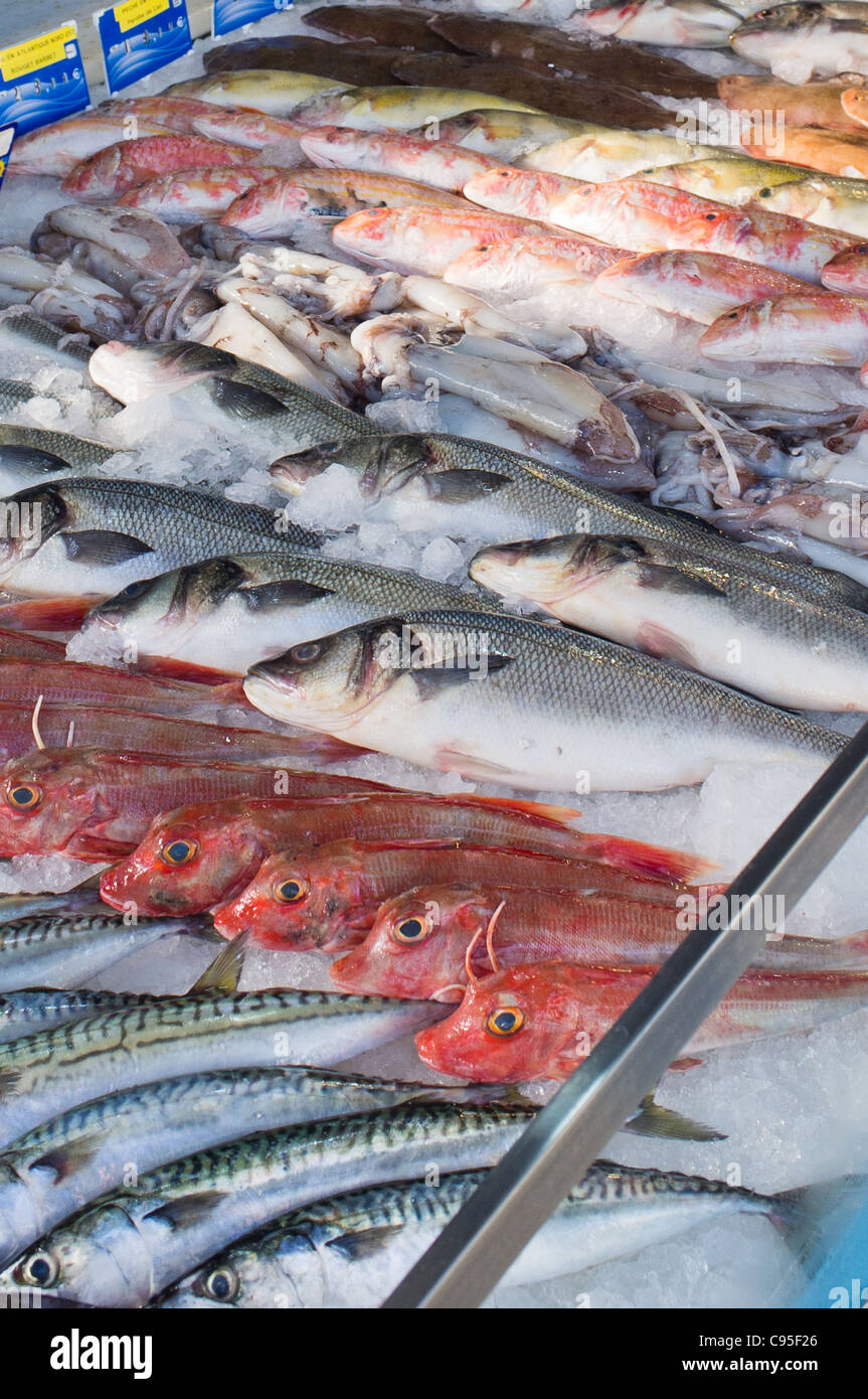 Fish display in market. Annecy, France. 21/09/2011 Stock Photo - Alamy