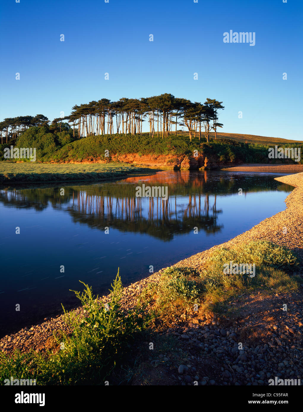 Evening light over the River Otter Estuary in the Otter Estuary Nature ...