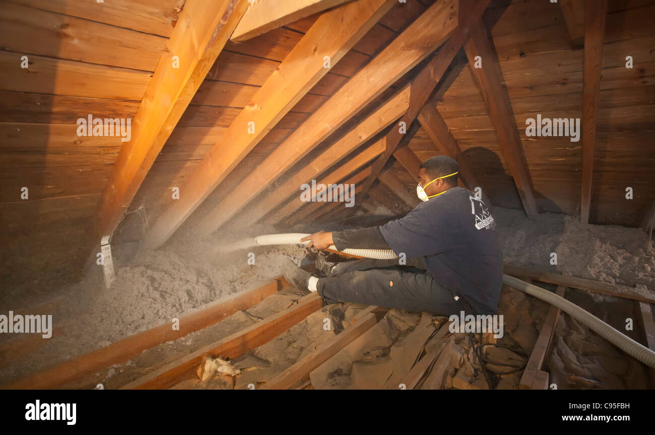 Cellulose insulation hi-res stock photography and images - Alamy