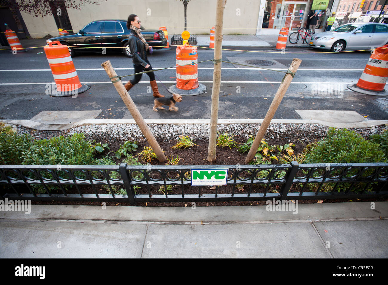 Bioswale High Resolution Stock Photography and Images - Alamy