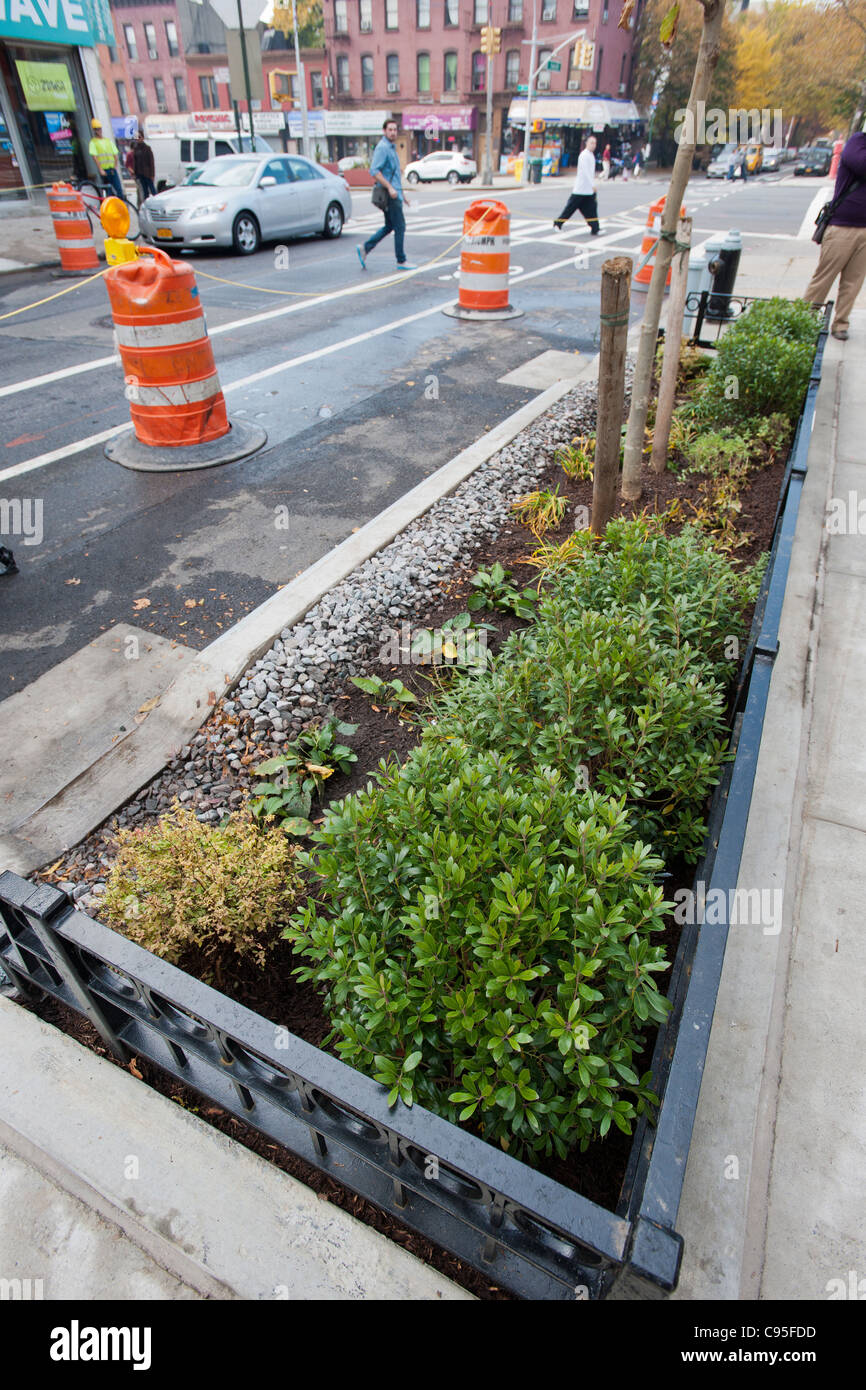 Bioswale hi-res stock photography and images - Alamy