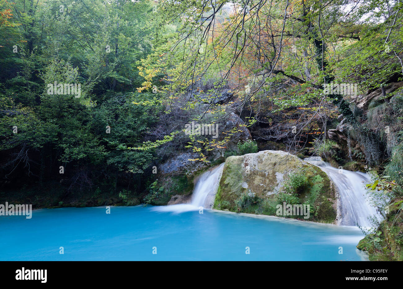 River in deep forest Stock Photo - Alamy
